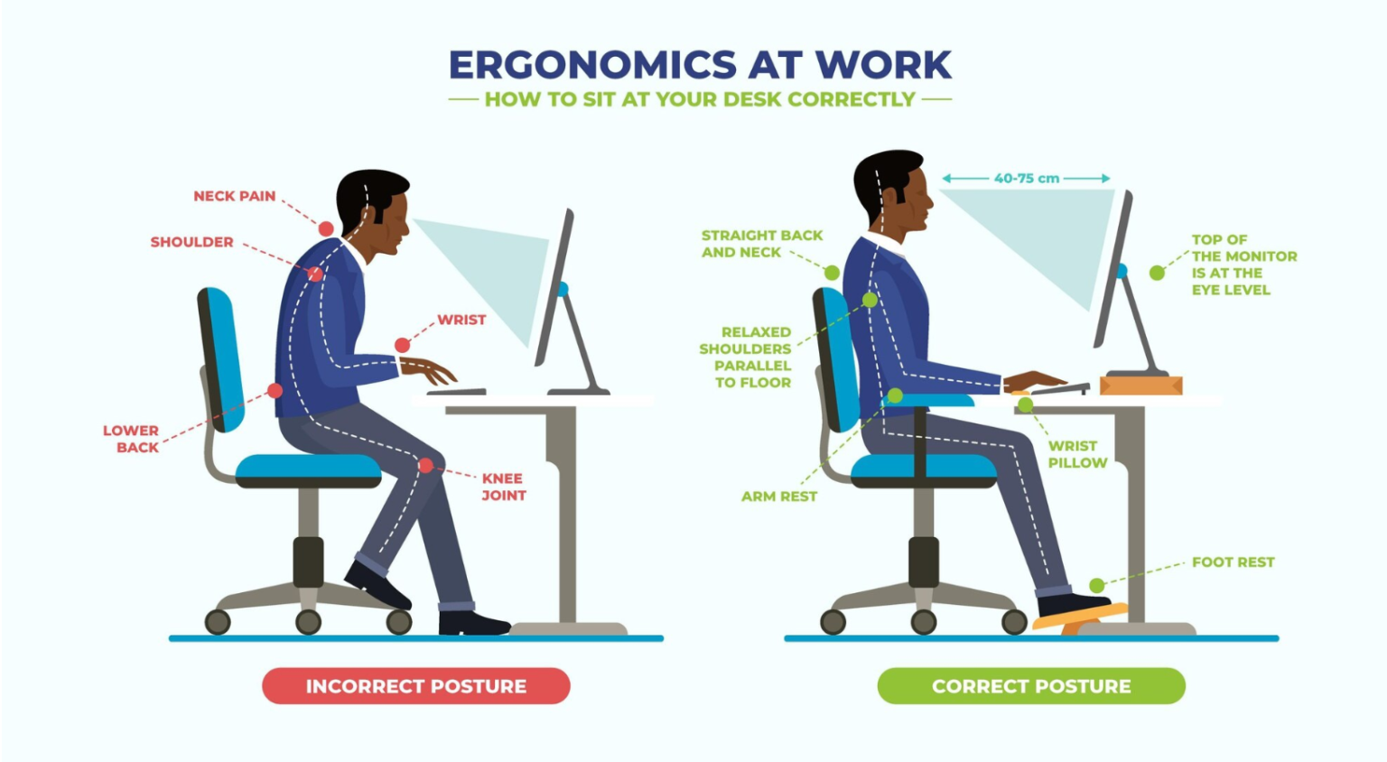 The Role Of Ergonomic Chairs In Modern Office Design - OdinLake Blog